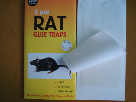 Rat Glue Trap rat-glue-trap
